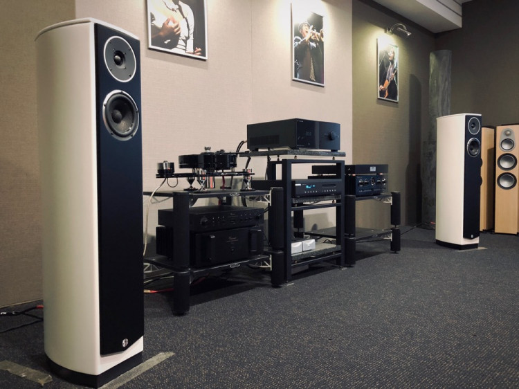 System Audio Pandion 20 i Anthem STR w salonie Q21